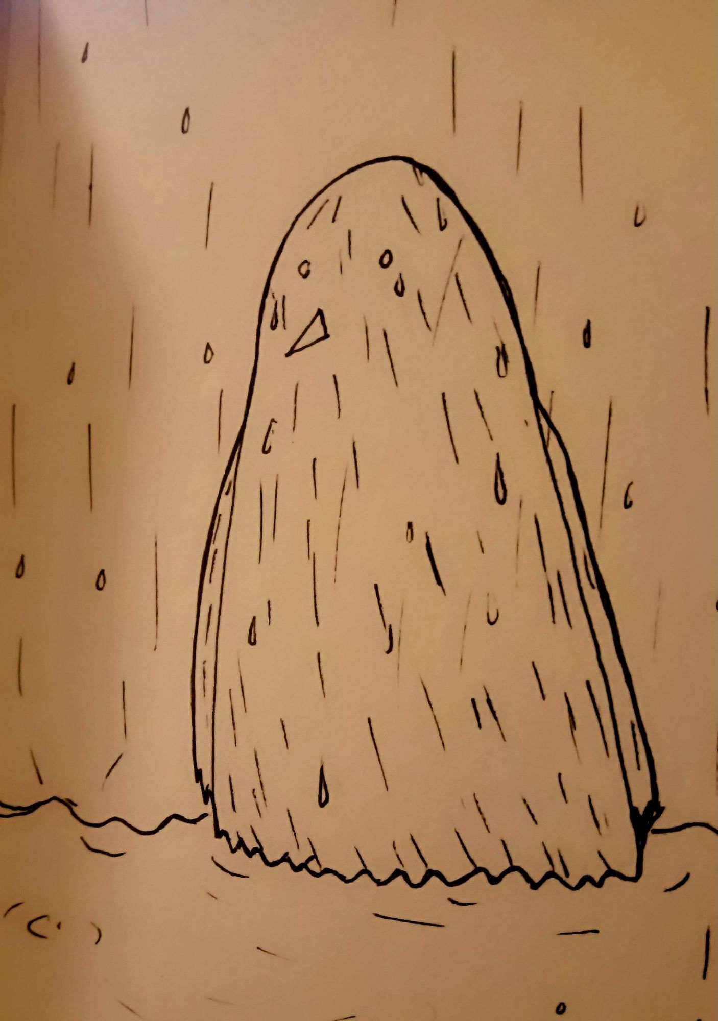 Foolish Bird in the Rain | Code Mush