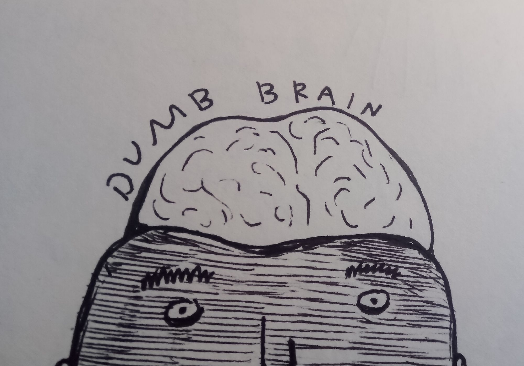Half Head with Dumb Brain | Code Mush