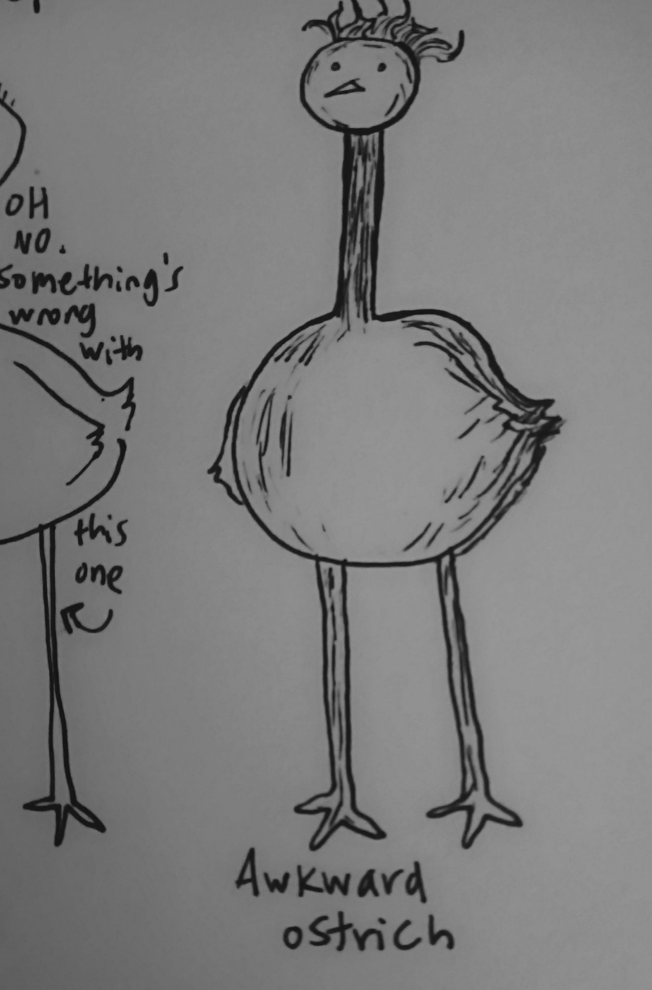 Awkward Ostrich | Code Mush